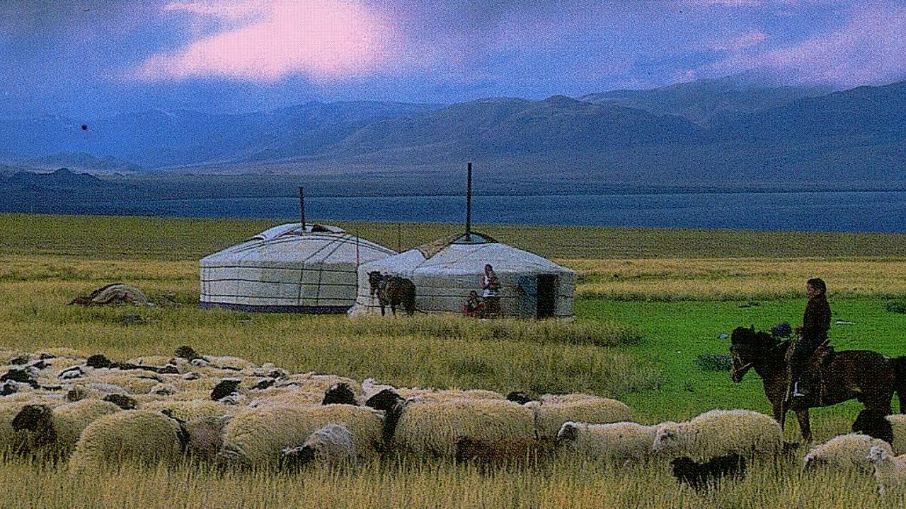 Entwurf-Startseite mongolisch